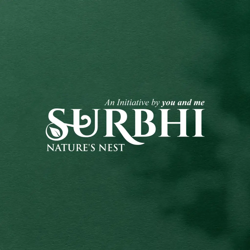 Surbhi Logo Design - Logo & Graphic Design Services, Website Design ...